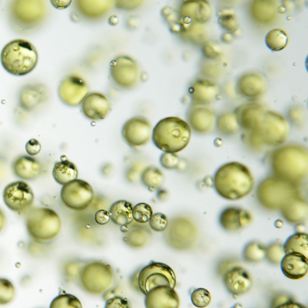 Anjac Health and Beauty - Bold and innovative partner